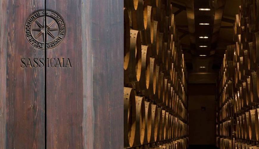 Il pregio Sassicaia in due speciali proposte - MY WINE STORE